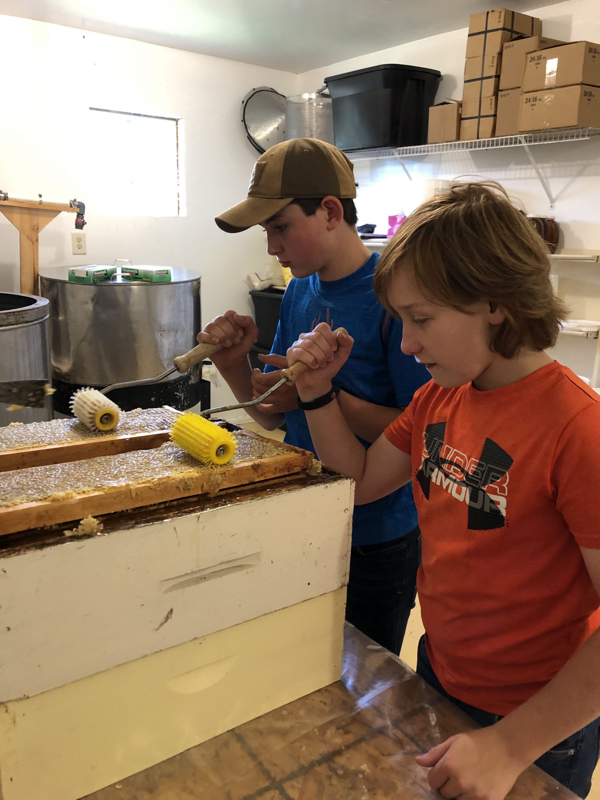 Honeybees and the Classroom - Backyard Beekeeping